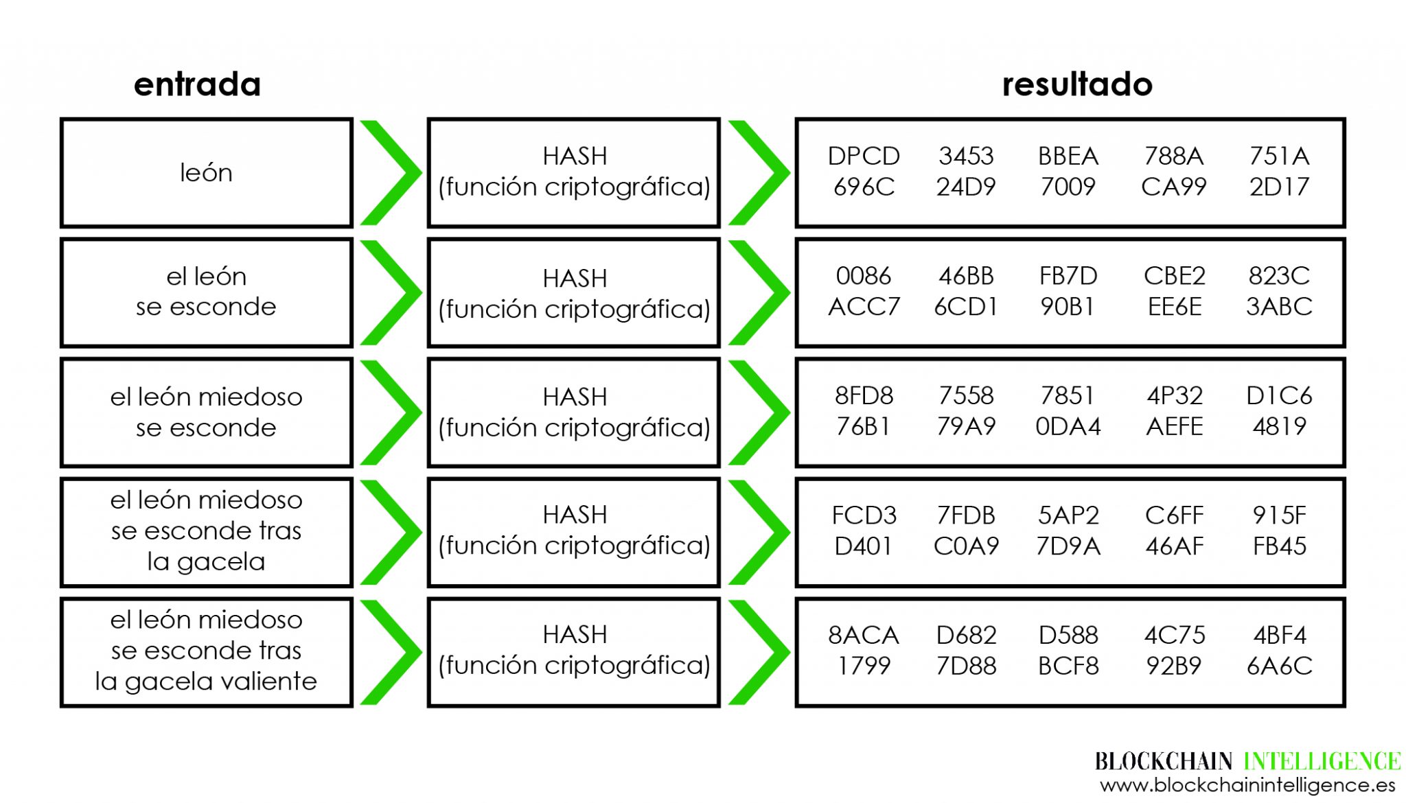 Infografía | Función Hash